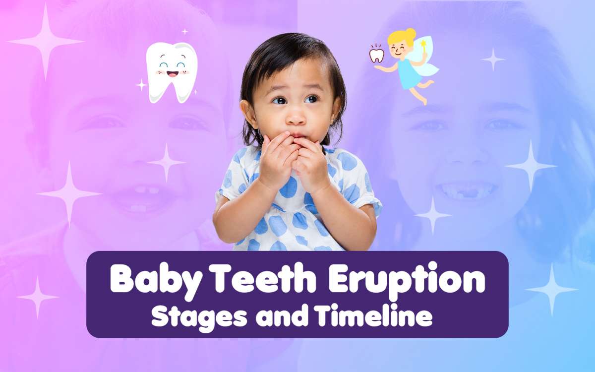 When Teeth Come In and Fall Out : Baby Teeth Chart
