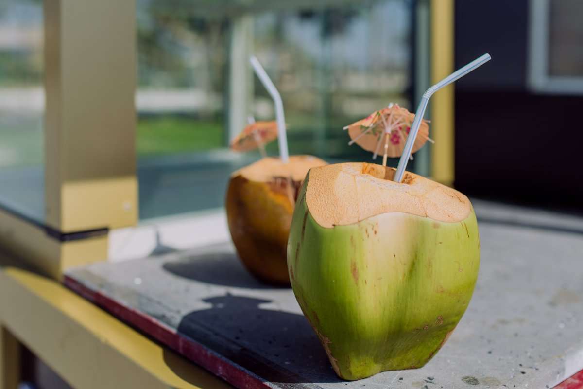 Sip, Cool, Repeat: 10 Refreshing Summer Drinks to Beat the Heat