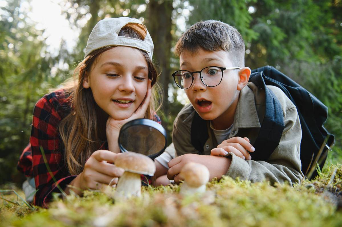 Printable Outdoor Nature Scavenger Hunt for Kids