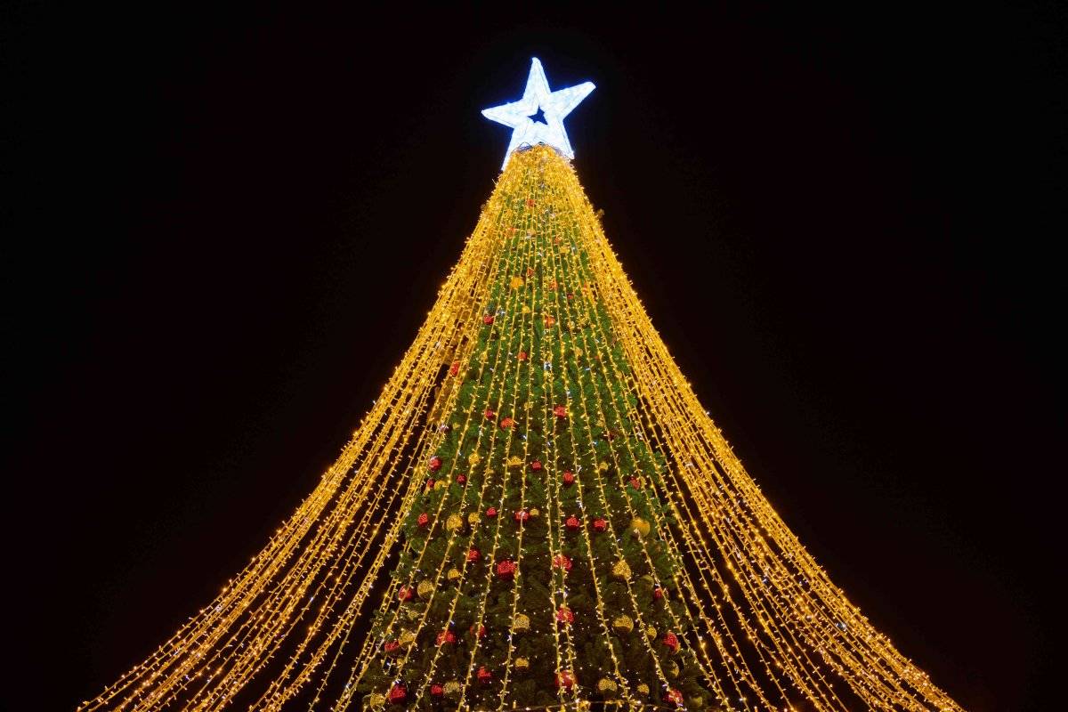 9 Amazing Christmas Tree Records to Get You in the Festive Spirit
