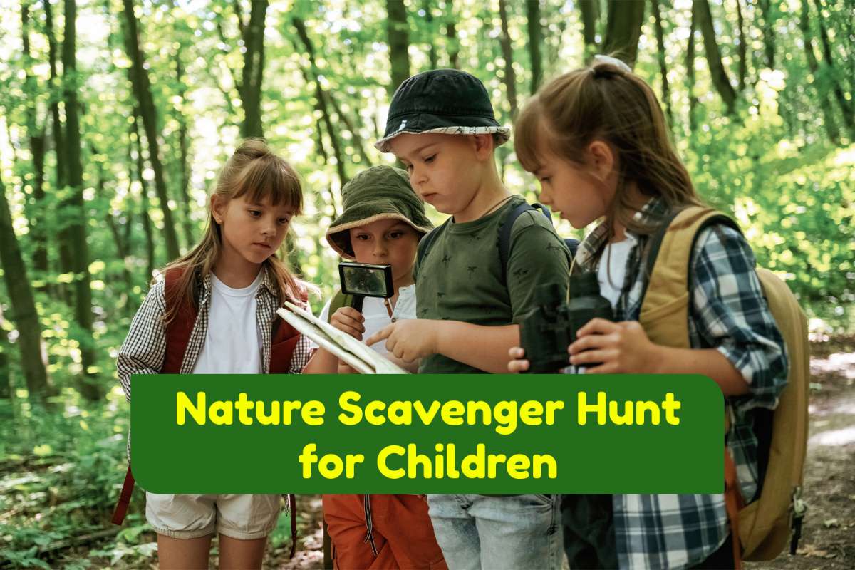 Printable Outdoor Nature Scavenger Hunt for Kids
