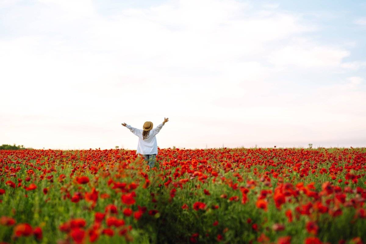 Explore the World’s Most Beautiful Flower Fields: A Visual Journey