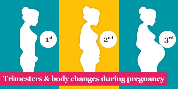 Body changes during pregnancy and tips to handle it | Body changes ...