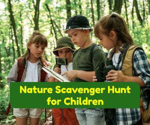 Printable Outdoor Nature Scavenger Hunt for Kids