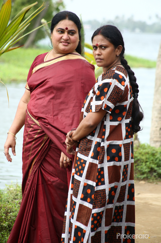 Pullipulikalum Aattinkuttiyum Movie Wallpapers, Posters & Stills