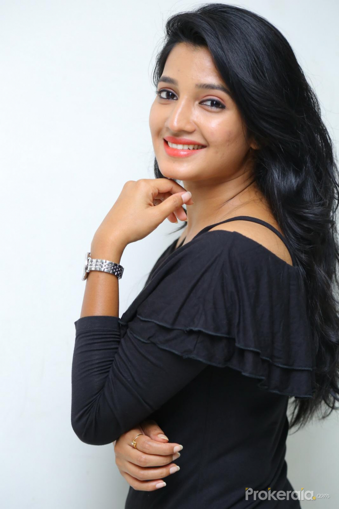 Sriramudinta Srikrishnudanta Movie Events & Photos