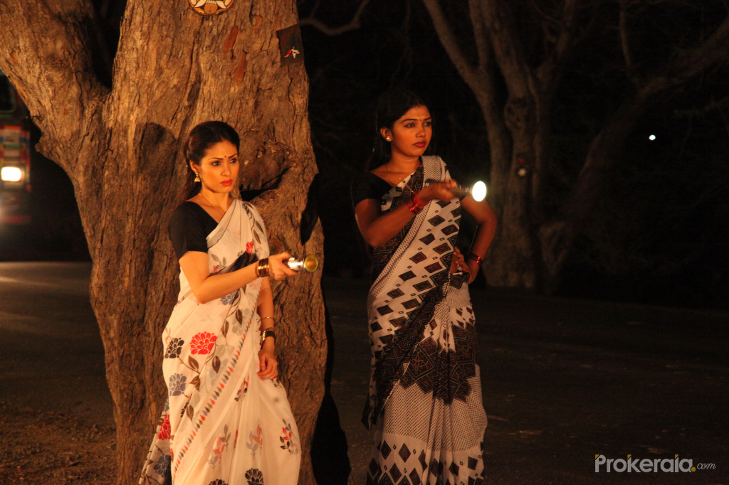 TorchLight Movie Wallpapers, Posters & Stills