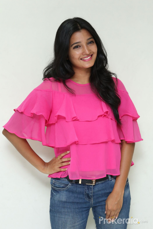 Sriramudinta Srikrishnudanta Movie Events & Photos