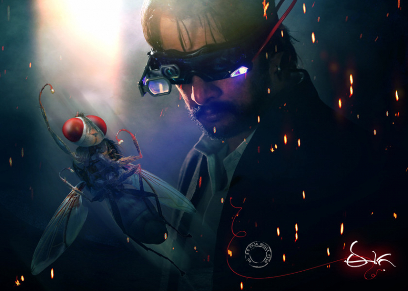 Eega Movie Wallpapers, Posters & Stills