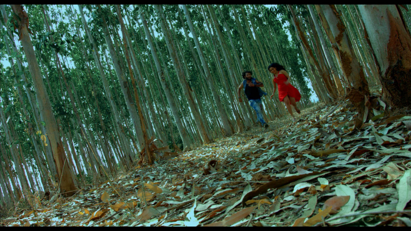 Meera - A Bloody Love Story Movie Wallpapers, Posters & Stills