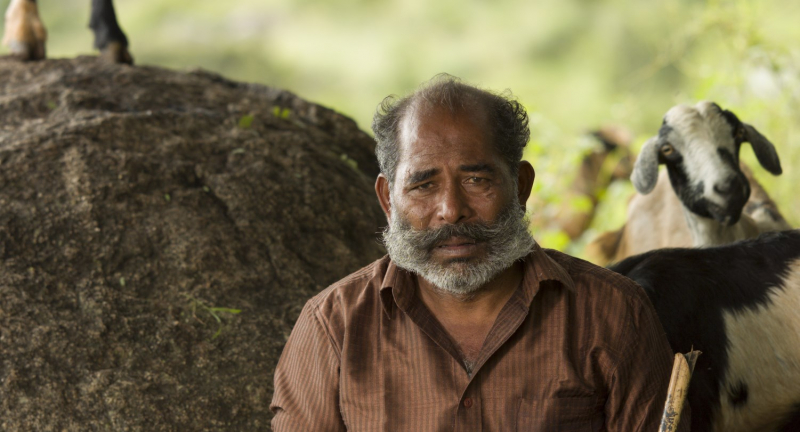 Maanasi Movie Wallpapers, Posters & Stills