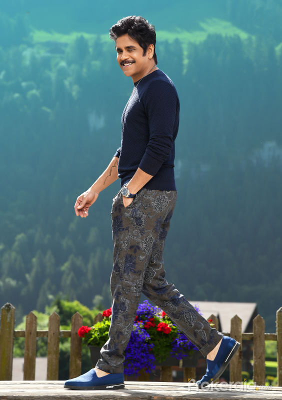 Manmadhudu 2 Movie Wallpapers, Posters & Stills