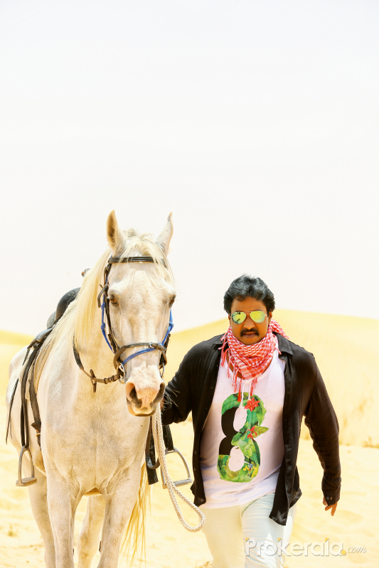 Jakkana Movie Wallpapers, Posters & Stills