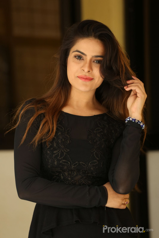 Saradhi Movie Events & Photos