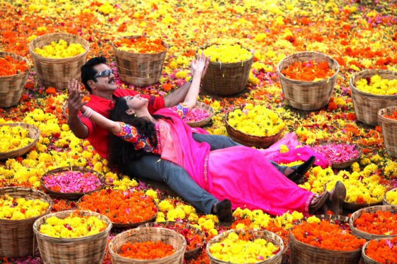 Sandamarutham Movie Wallpapers, Posters & Stills