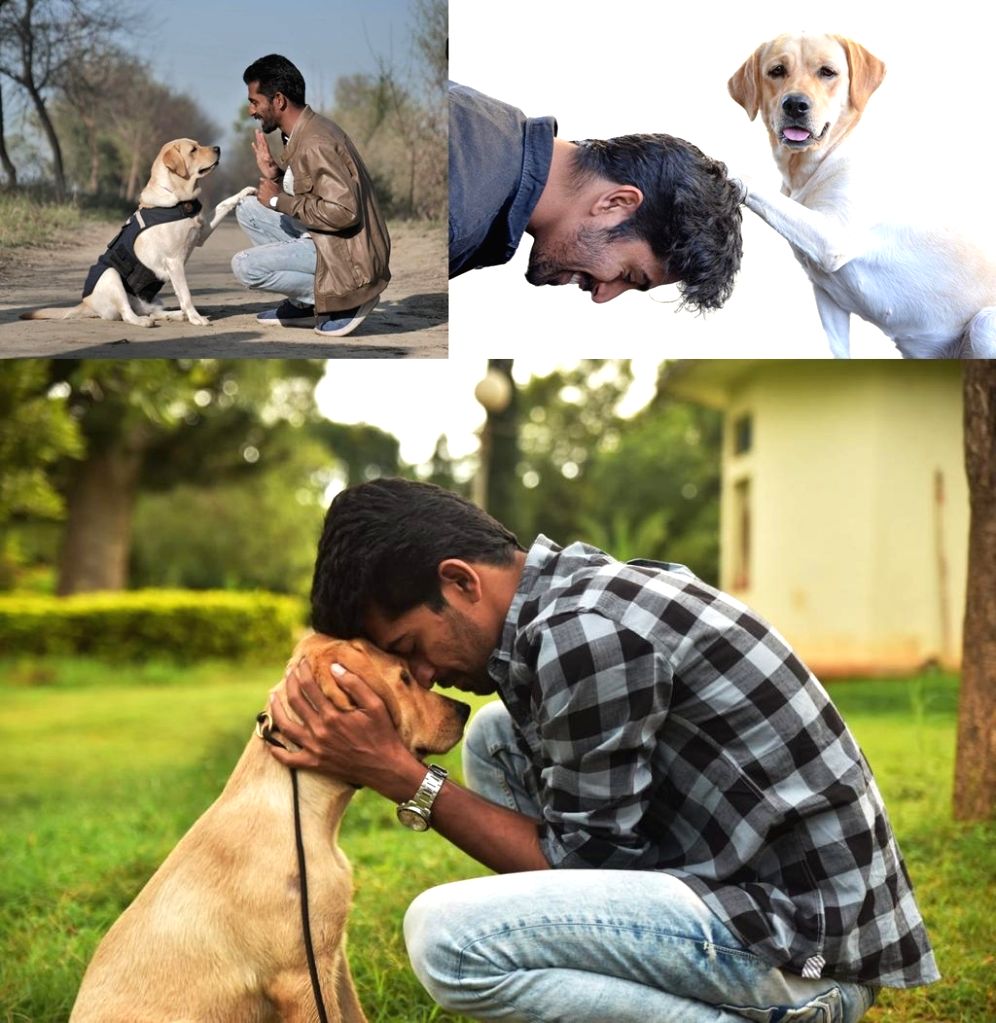 Even those who don't have pet will start loving them: '777 Charlie ...