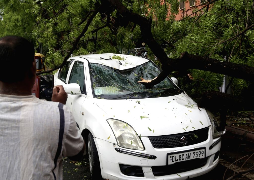 A car got damaged after a tree fell on it