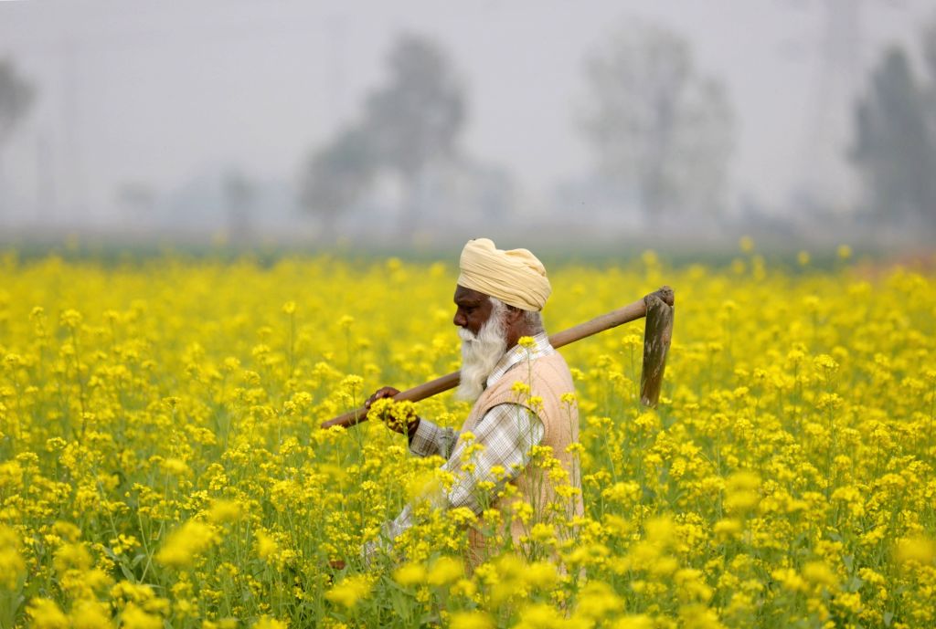 JAWALA ORGANIC FERTILIZERS AND INSECTICIDES – Jwala Group Of Companies