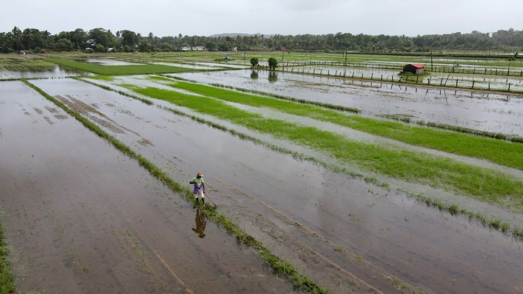 A farmer working in the partially flooded field.