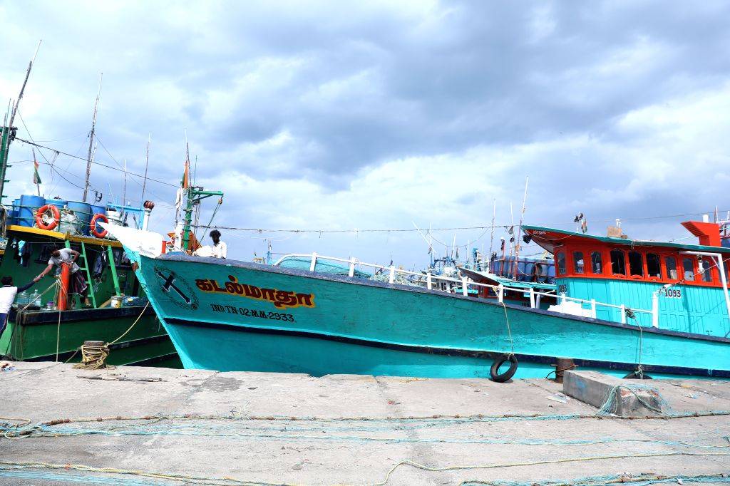 A fisherman prepares to set sail at the Kasimedu fishing harbour on the ...