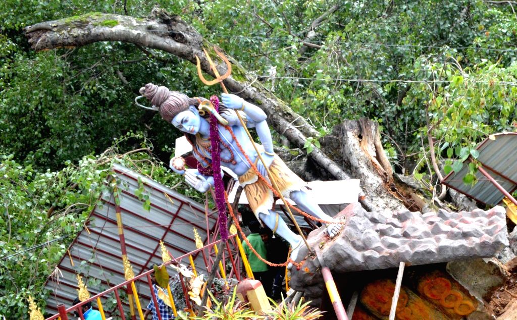 :Bengaluru:A huge uprooted at Vasanthnagar after last night heavy rainfall.