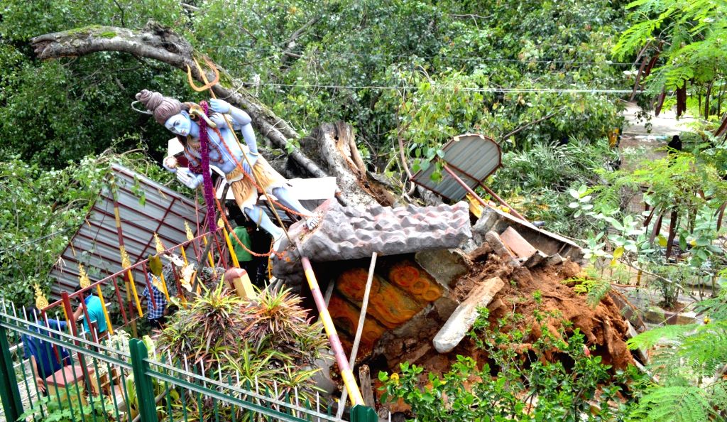 :Bengaluru:A huge uprooted at Vasanthnagar after last night heavy rainfall.