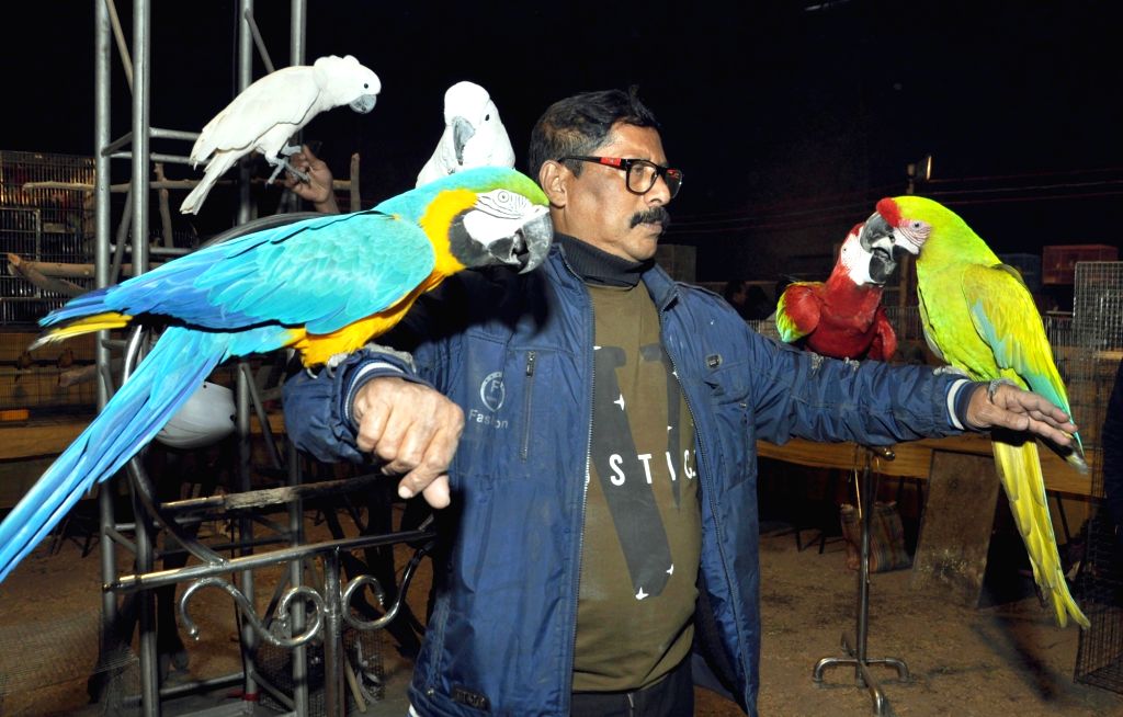 A man spectator carries colorful parrots on her arm