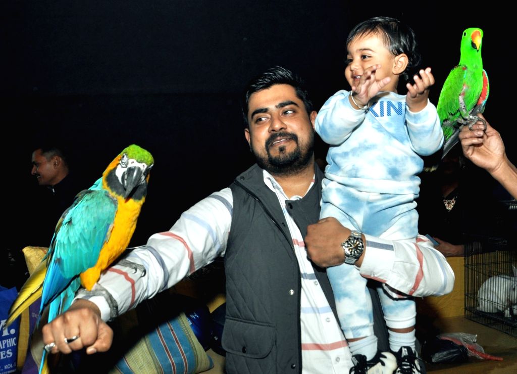 A man spectator carries colorful parrots on her arm