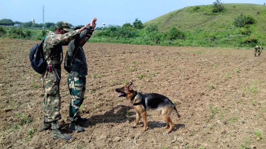 Thirteen new sniffer dogs join forces to curb wildlife crime