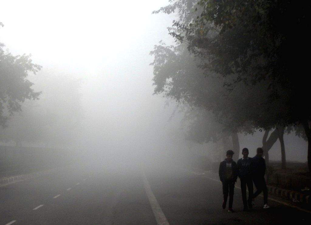 A thick layer of fog engulfs