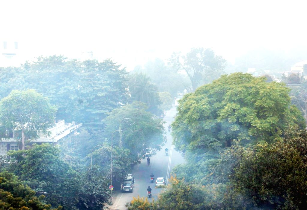 A thick layer of fog engulfs the lower atmosphere on a cold winter morning