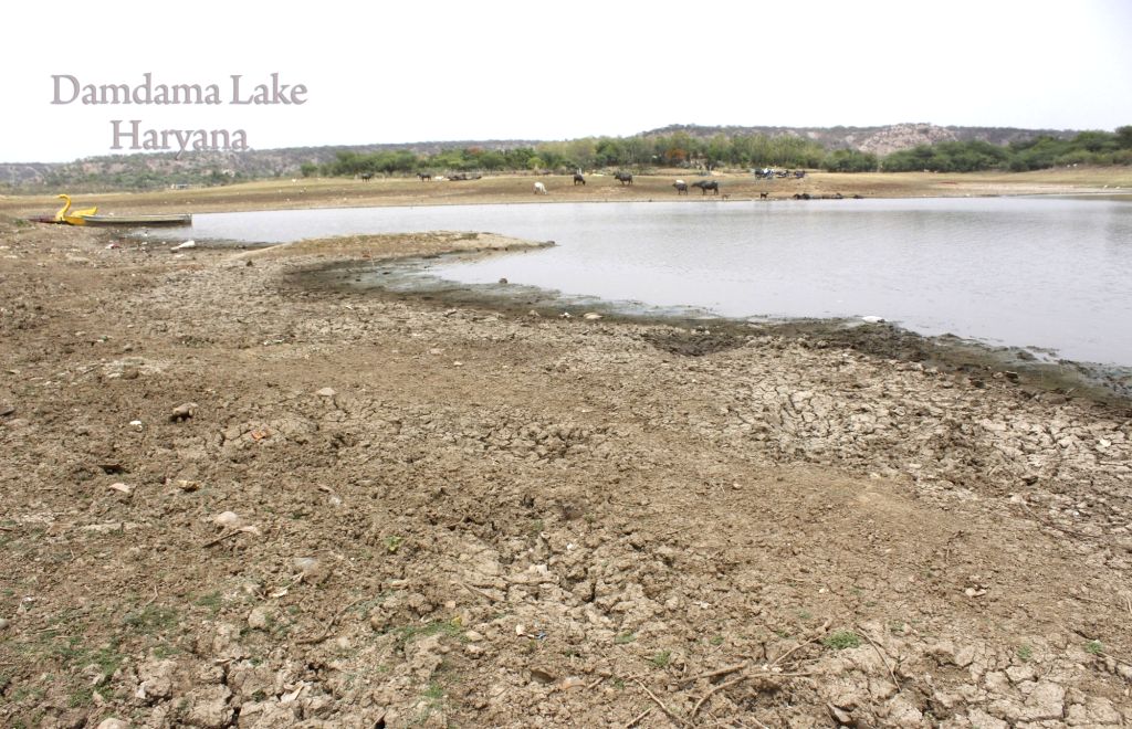 File Photos: Damdama Lake