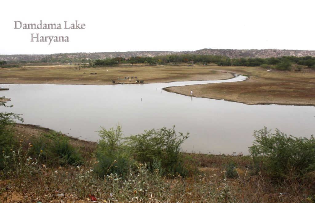 File Photos: Damdama Lake