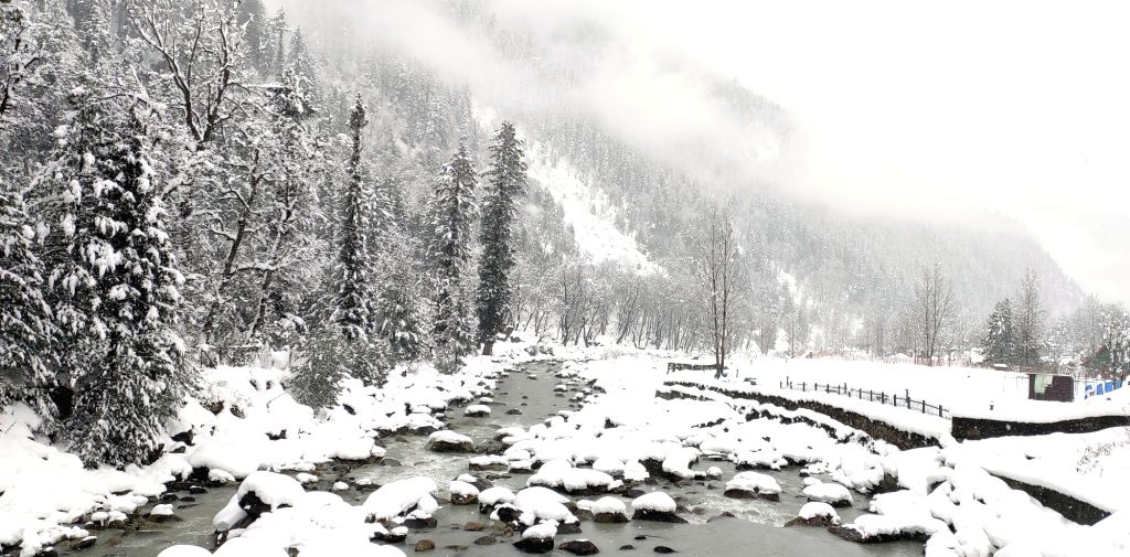 A view of fresh snowfall received in Sonmarg area
