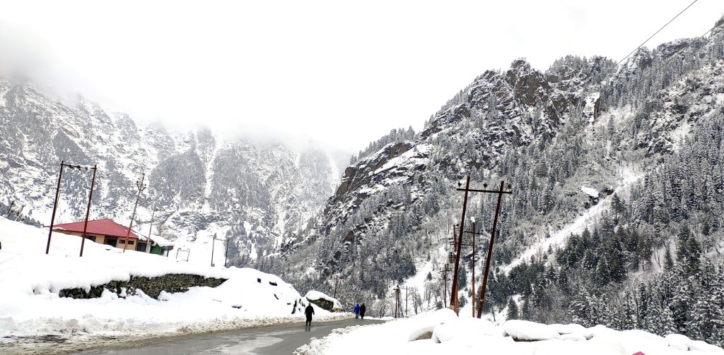 A view of fresh snowfall received in Sonmarg area