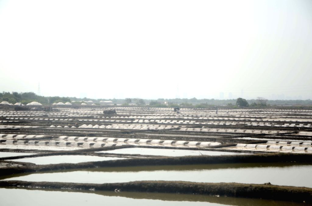 File Photos: Salt pans