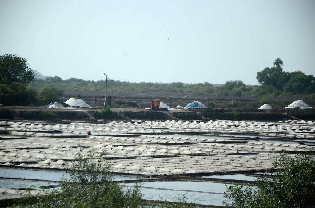 Salt Pans