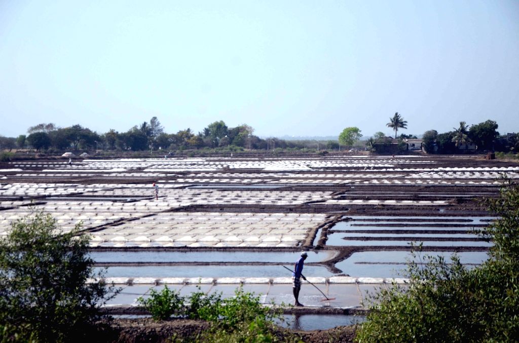 Salt Pans