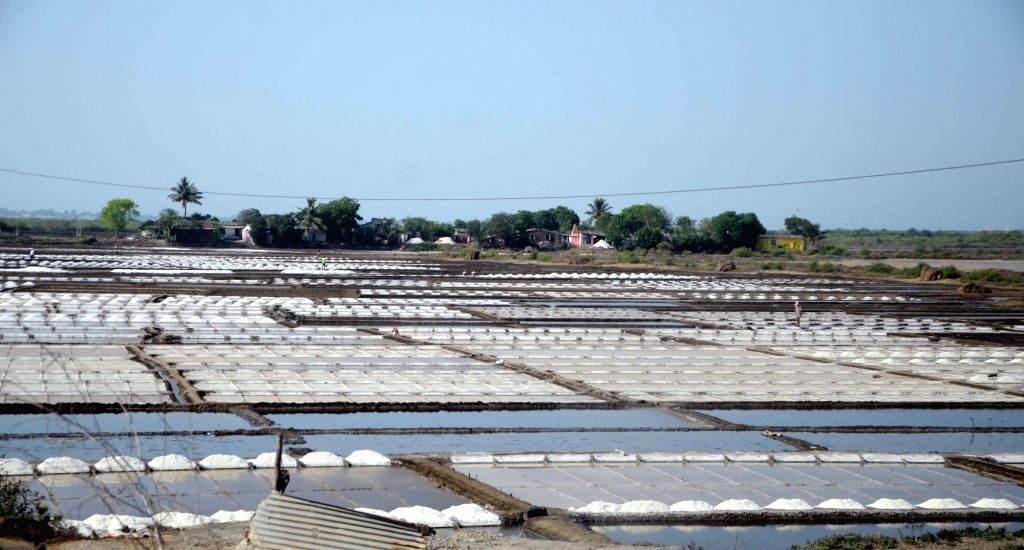 Salt Pans
