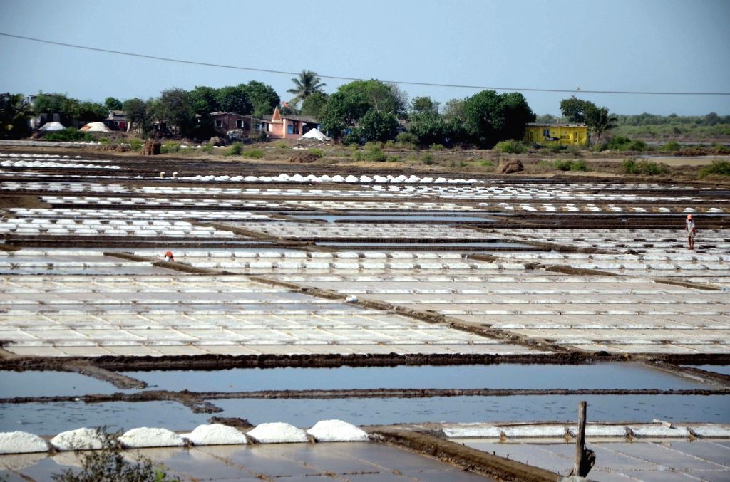 Salt Pans