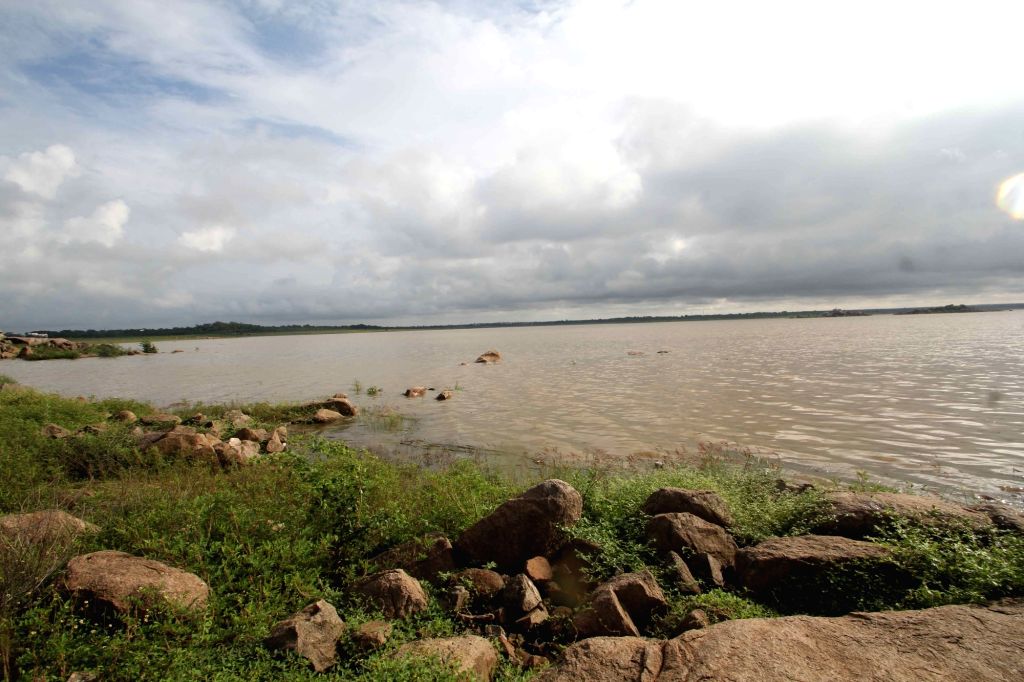 Osman Sagar