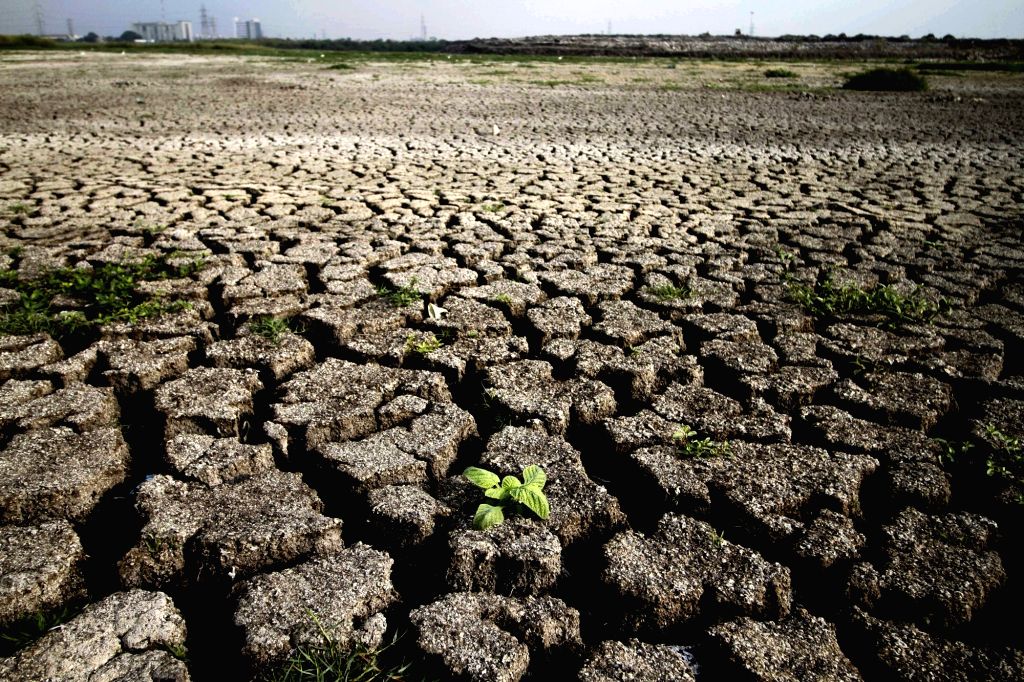 Photos showing Drought affected areas!!