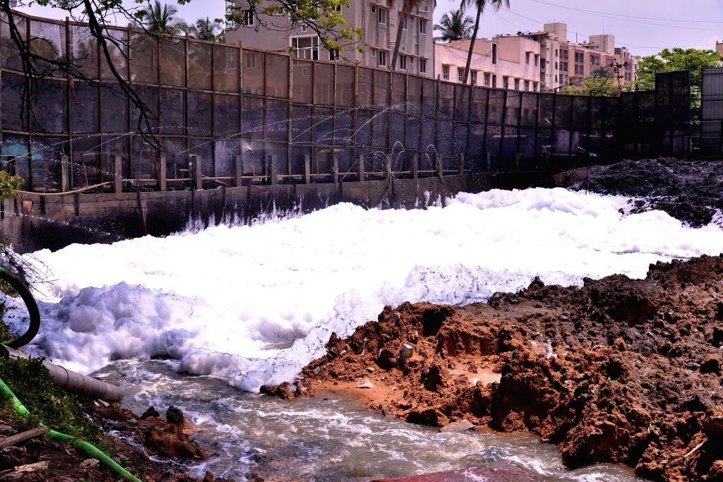 Bellandur Lake spews toxic foam