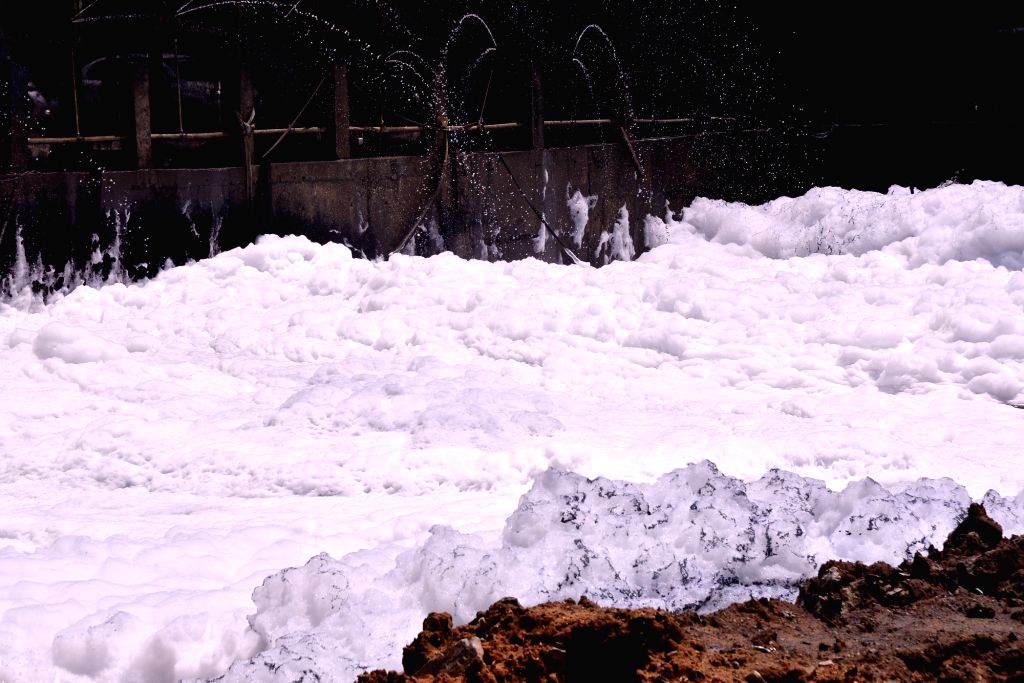 Bellandur Lake spews toxic foam