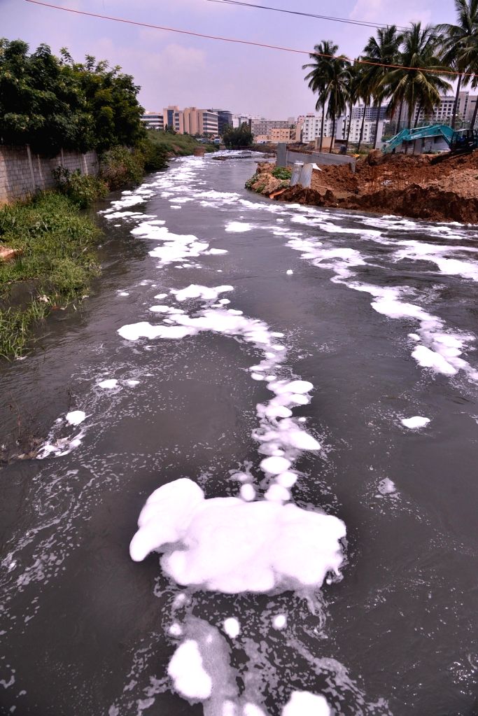 Bellandur Lake spews toxic foam