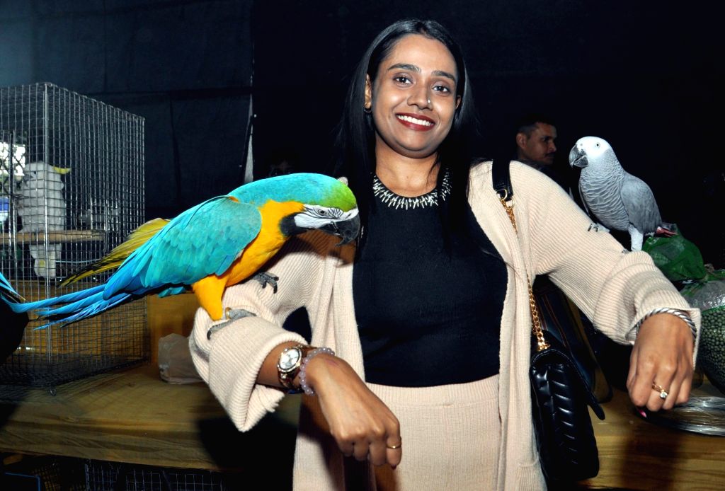A woman spectator carries colorful parrots on her arm