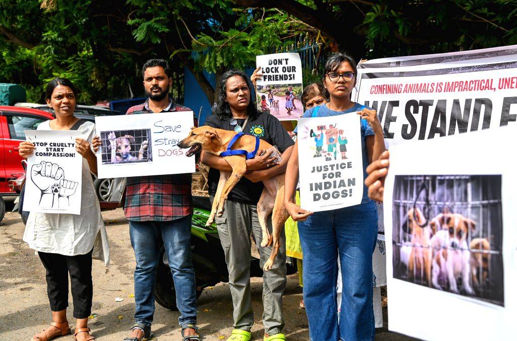 Activists Protest Supreme Court Order on Stray Dog Removal