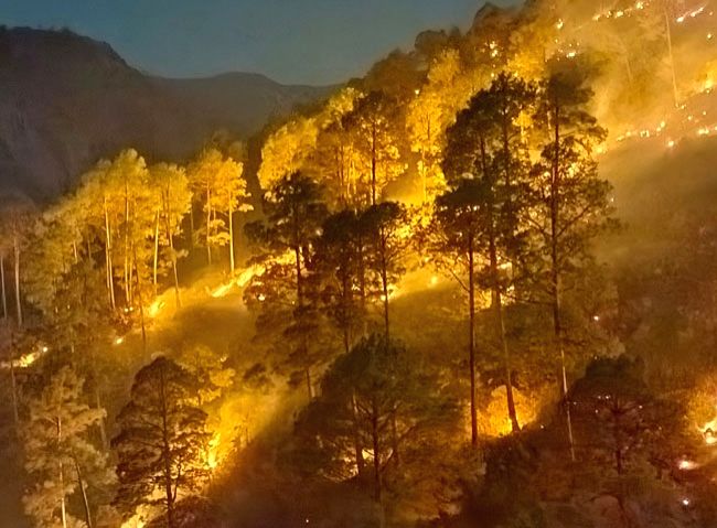 Free Photo: After the storm arose, there was a fierce fire in the ...