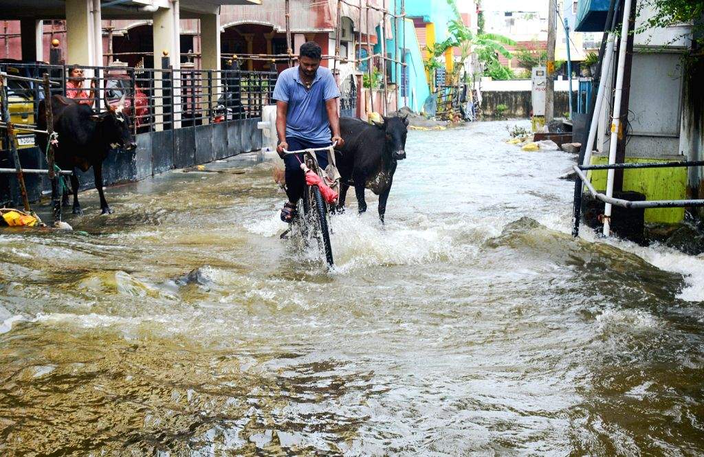 Aftermath of Cyclone Fengal's landfall