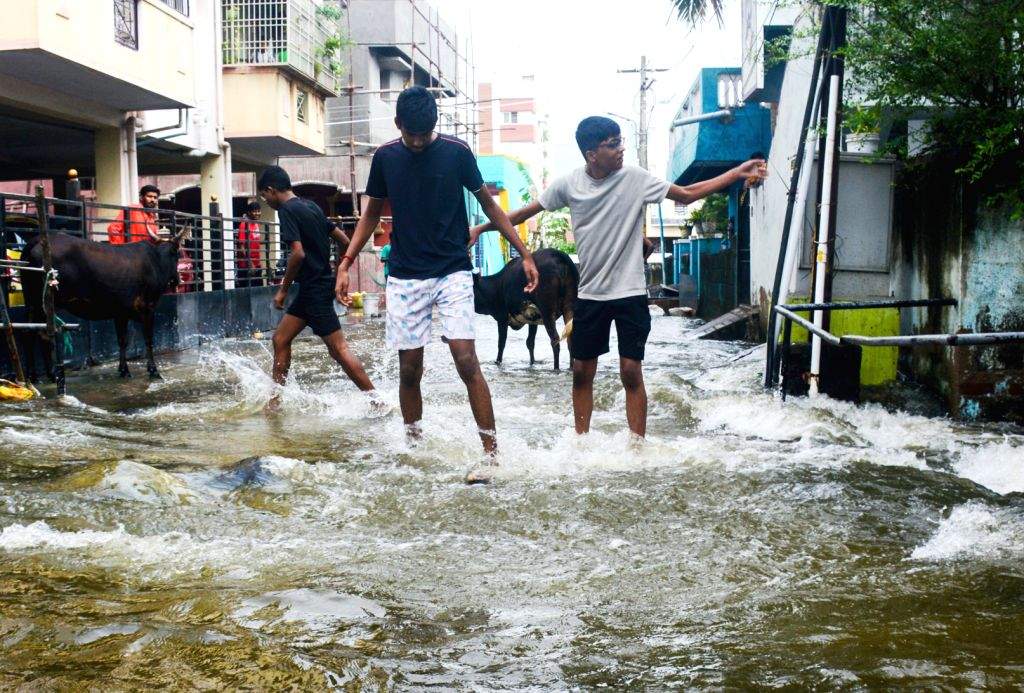 Aftermath of Cyclone Fengal's landfall